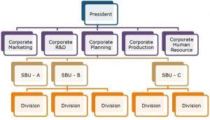 What is Strategic Business Unit (SBU)? definition, characteristics and structure - Business Jargons